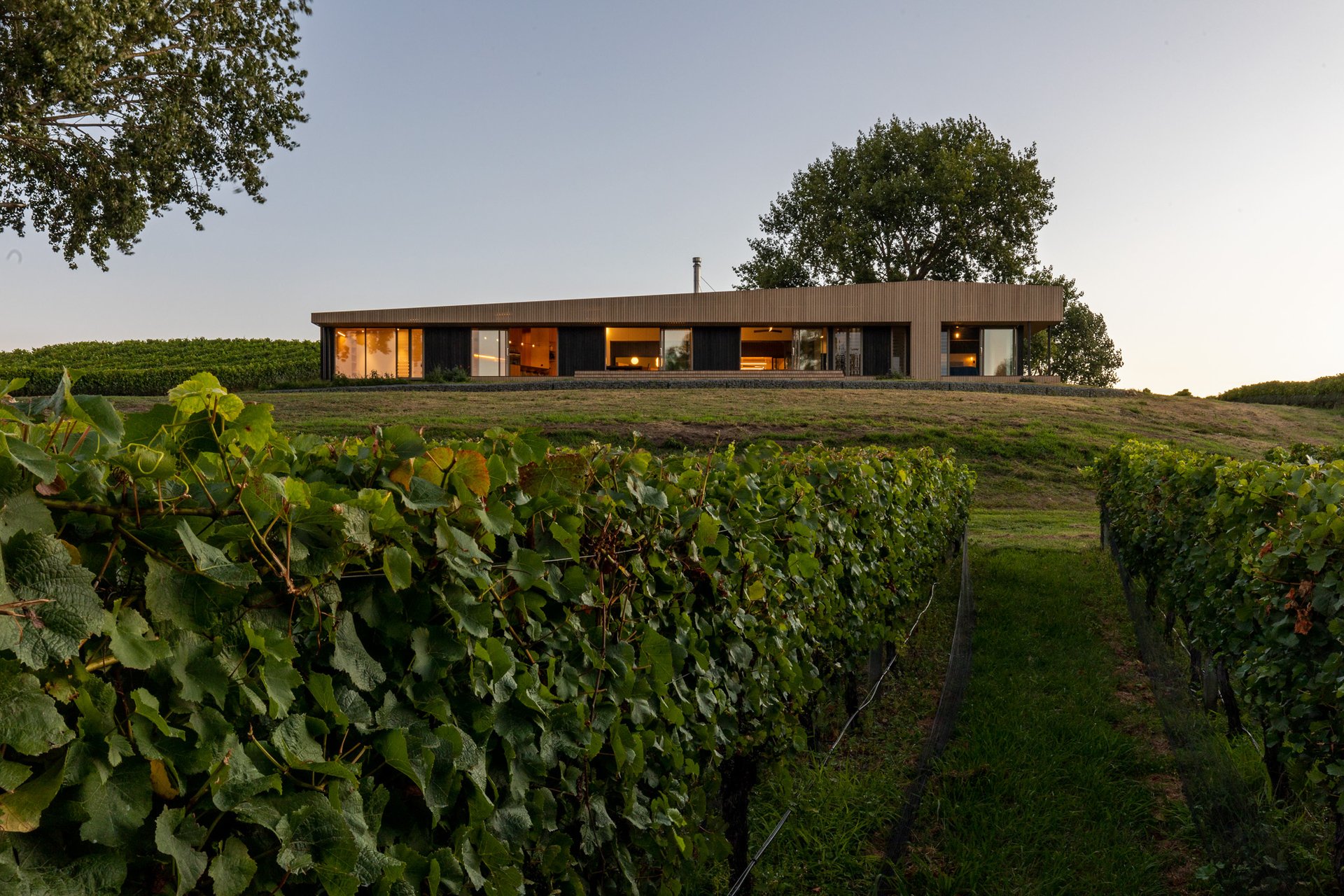 Black Beech House by Bonnifait + Associates Architects | ArchiPro NZ