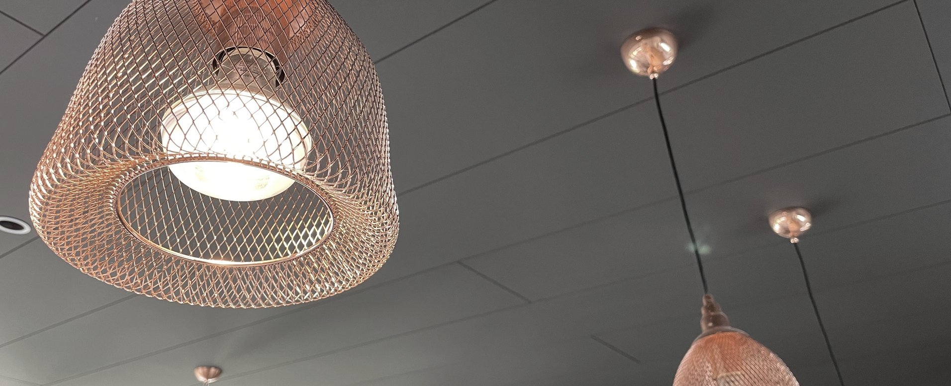 A bold black ceiling with Triboard TGV | ArchiPro NZ