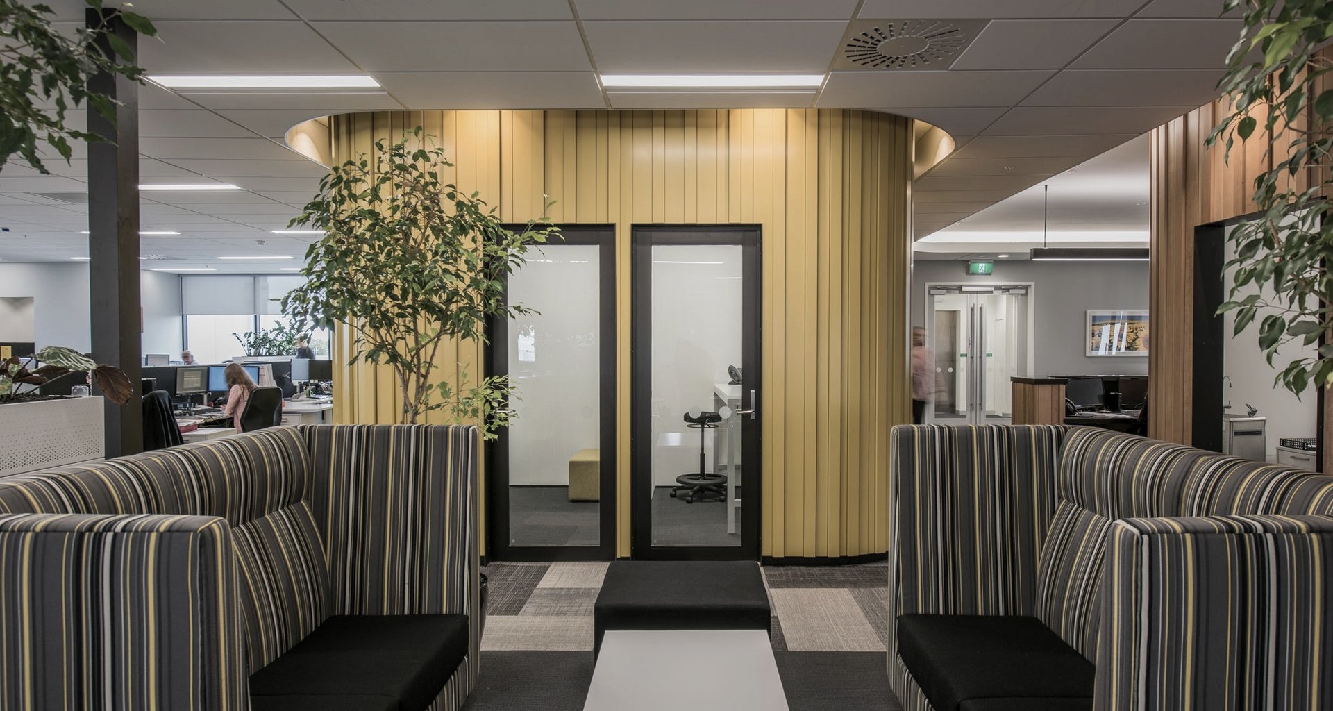 Unimed Building by Wilson & Hill Architects | ArchiPro NZ