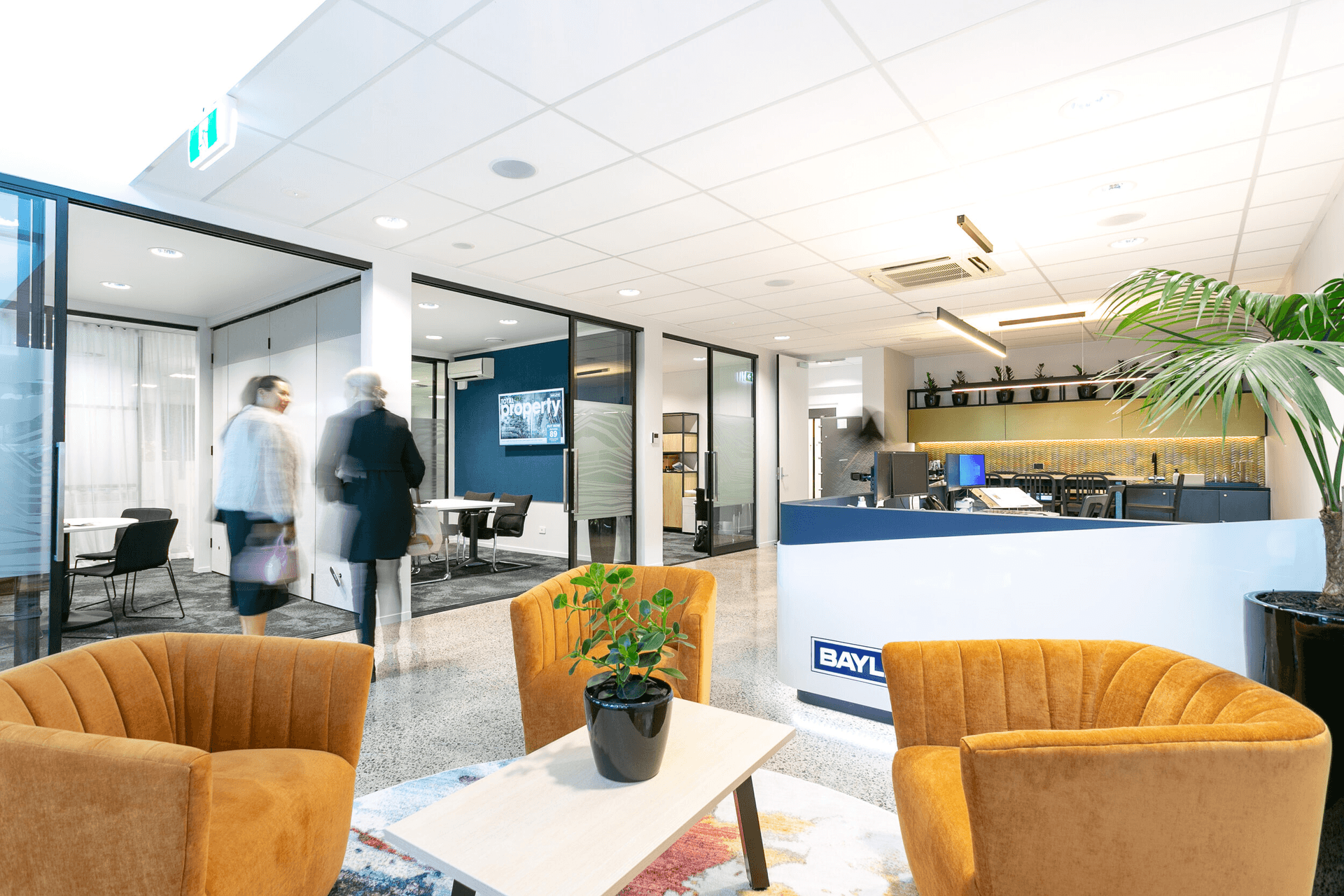 Bayley's | Mt Maunganui by Fitout Solutions | ArchiPro NZ