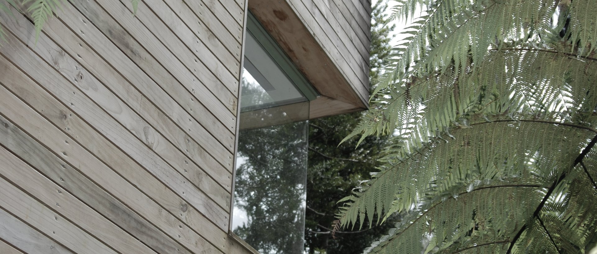 Little Huia House by MAXIMARC LIMITED | ArchiPro NZ