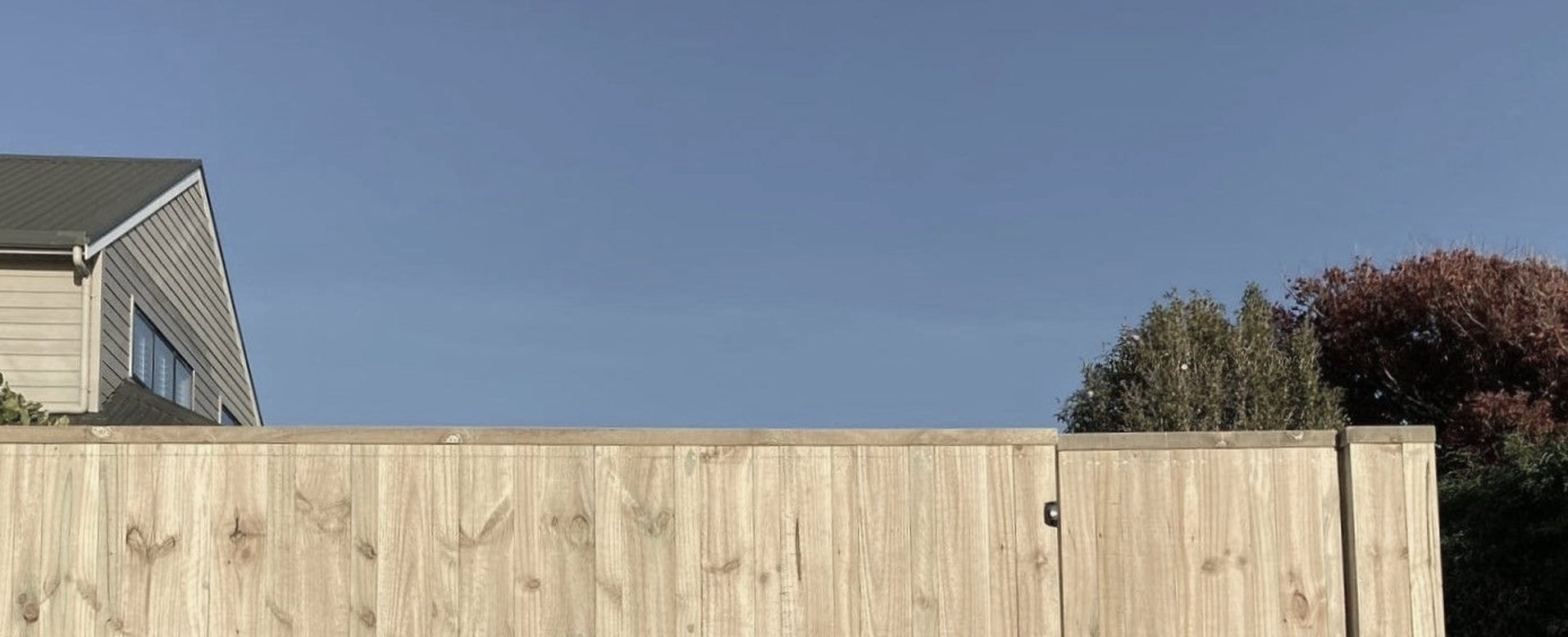 Conifer Grove by LWD Builders & Co | ArchiPro NZ