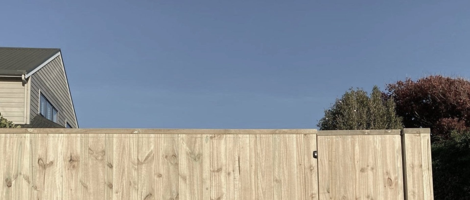 Conifer Grove by LWD Builders & Co | ArchiPro NZ