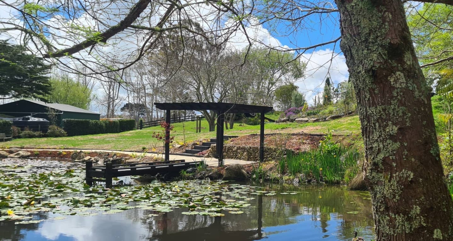 Pond Tranquillity by Local Landscapes | ArchiPro NZ