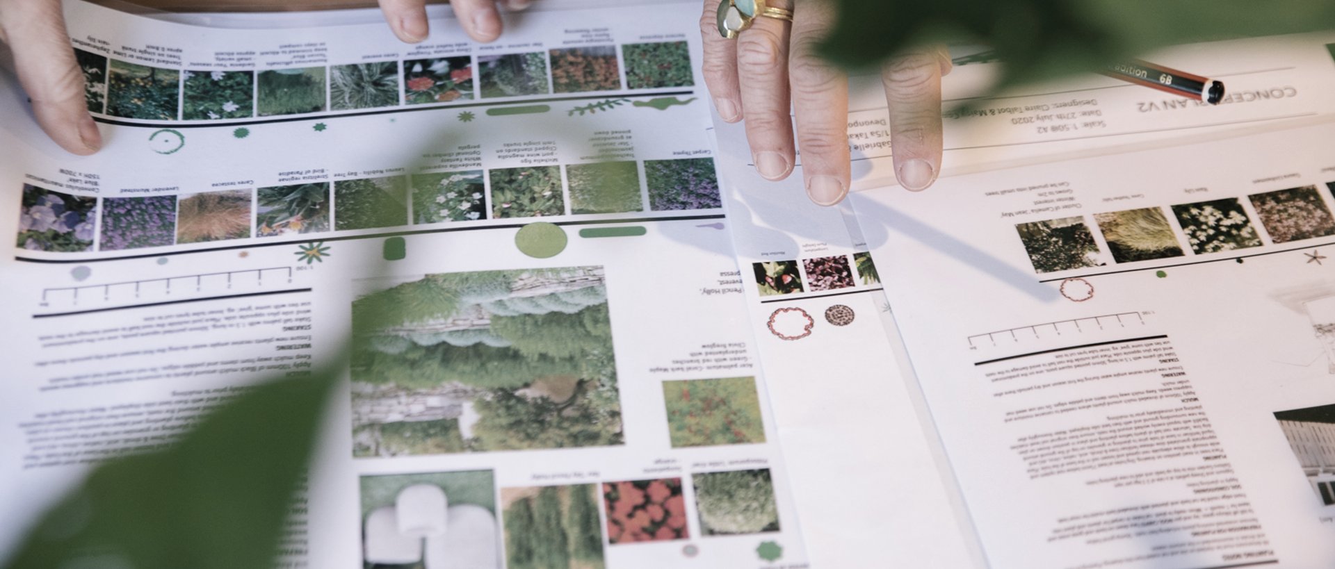 Curated Garden Design by Sculpt Gardens | ArchiPro NZ