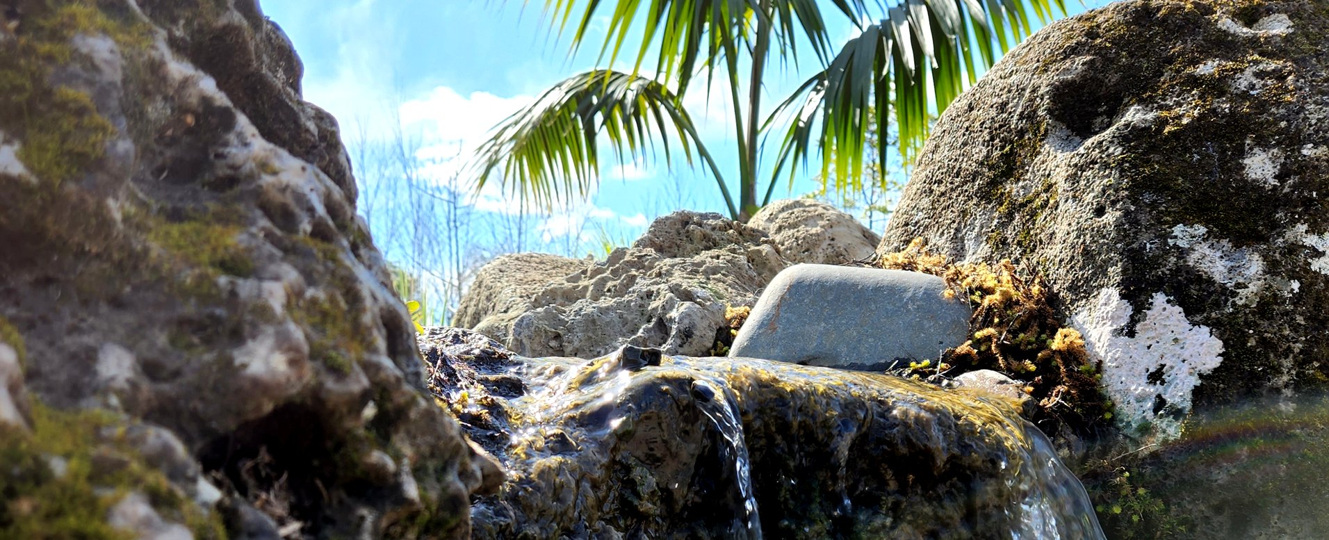 Total Transformation - Local Landscapes | ArchiPro NZ