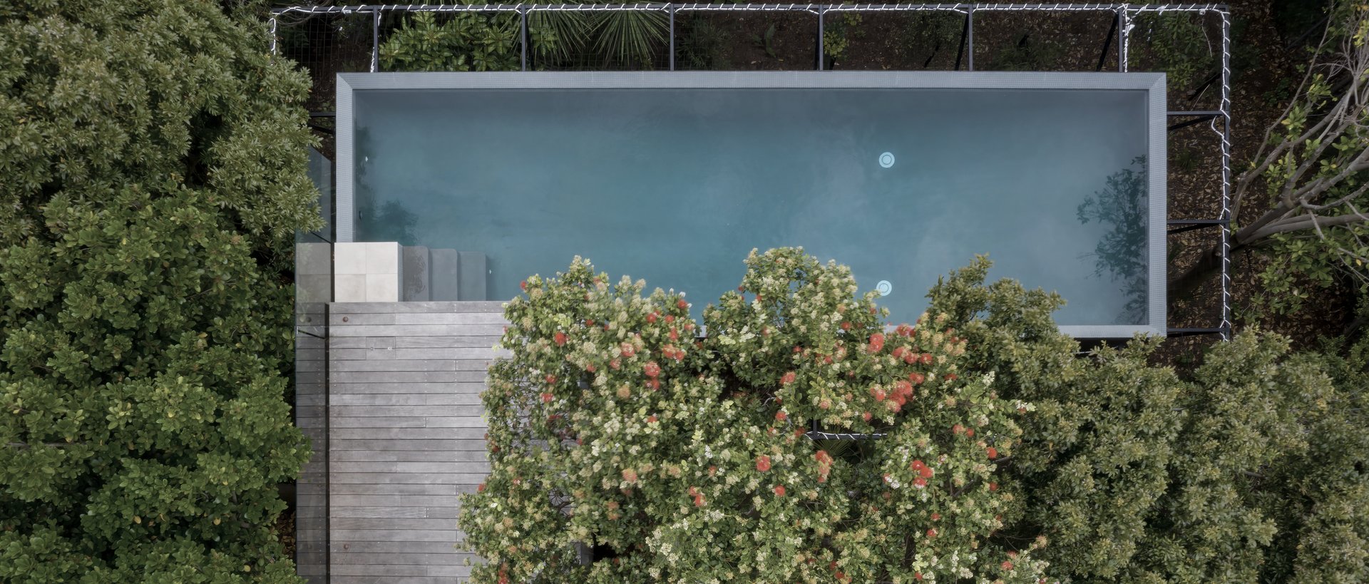 Polygon by Auckland Inground Pools | ArchiPro NZ