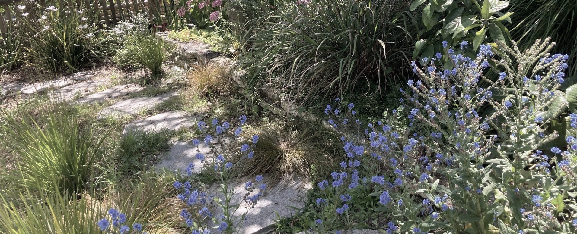 Residential by Encompass Design | ArchiPro NZ