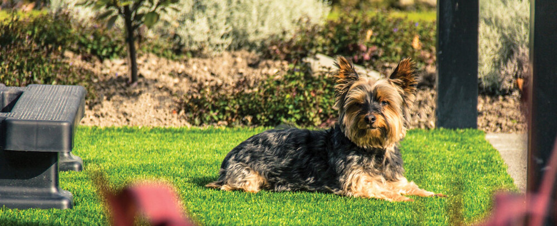 Spa Surround Artificial Lawn by SmartGrass | ArchiPro NZ