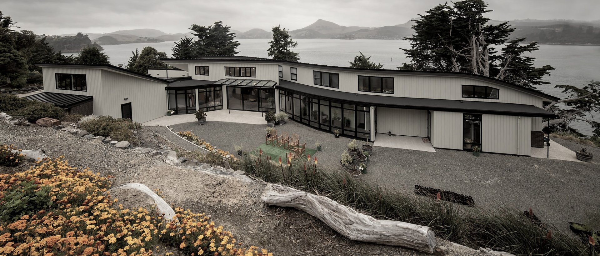 Eel House by Dimond Roofing | ArchiPro NZ