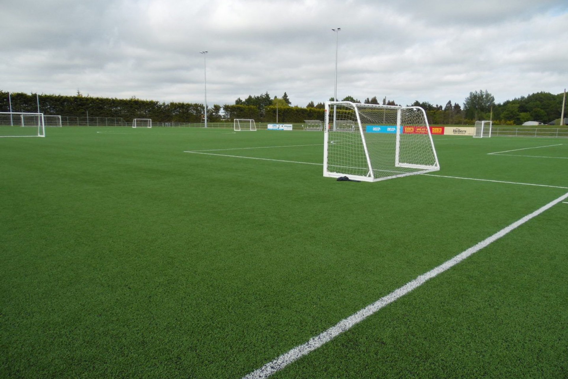 Kendall Park by TigerTurf | ArchiPro NZ